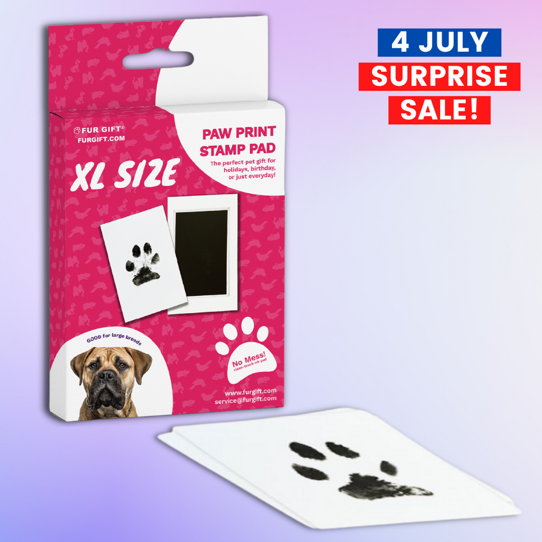 Fur Gift │Unique Online Pet Store for Fur Parents – and Pets – alike
