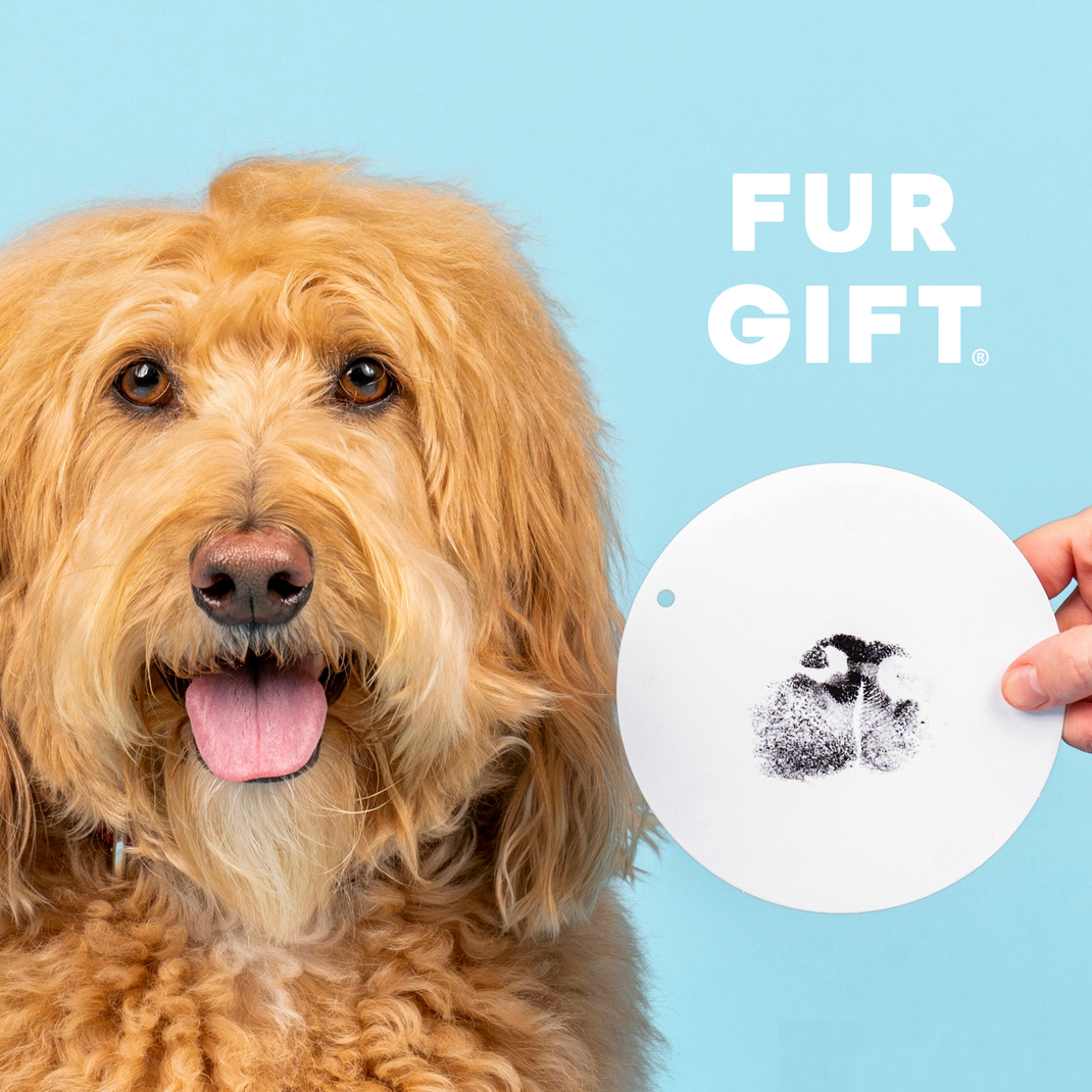 Fur Gift │Unique Online Pet Store for Fur Parents – and Pets – alike